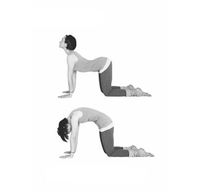 Watch Marjariasana : posture du chat Online